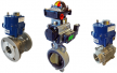 Johnson Valves