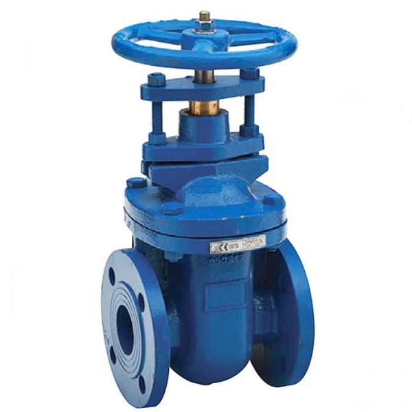 Flanged Gate Valves - Johnson Valves