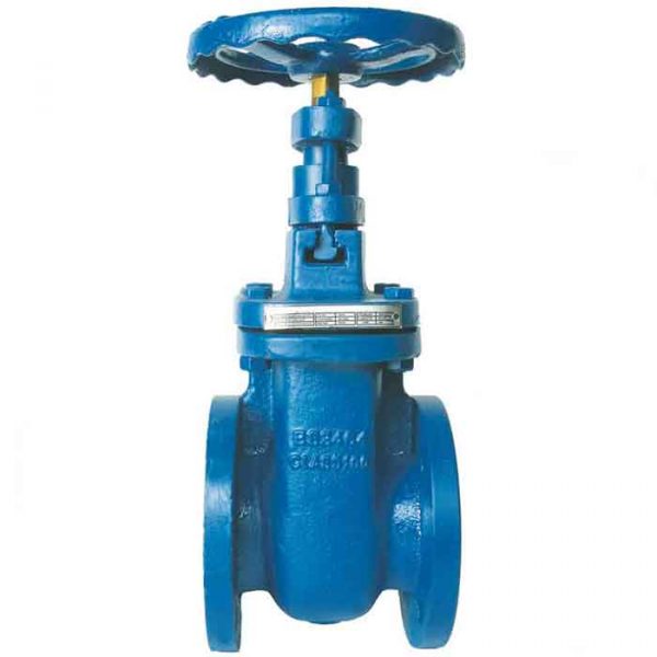 Flanged Gate Valves - Johnson Valves