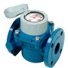 Elster Water Meters - Johnson Valves