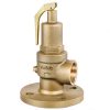 Enclosed Side Discharge Safety Relief Valves - Johnson Valves
