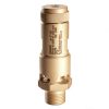 Air & Gasses Safety Relief Valves - Johnson Valves