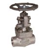 Class 800 Valves & Strainers - Johnson Valves