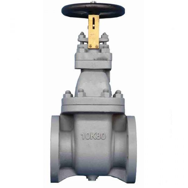Iron Gate Valves - Johnson Valves