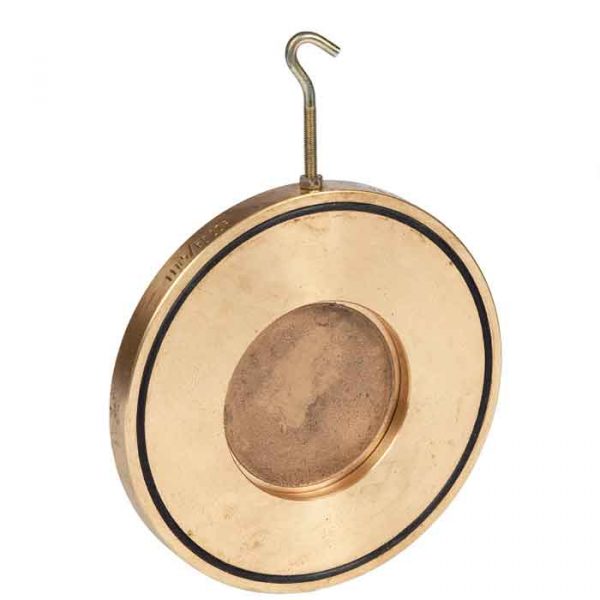 Swing Flap Check (Non-Return) Valves - Johnson Valves